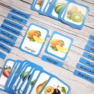 FRUITS Flashcard, Food Group, Montessori Flashcards, Educational ...