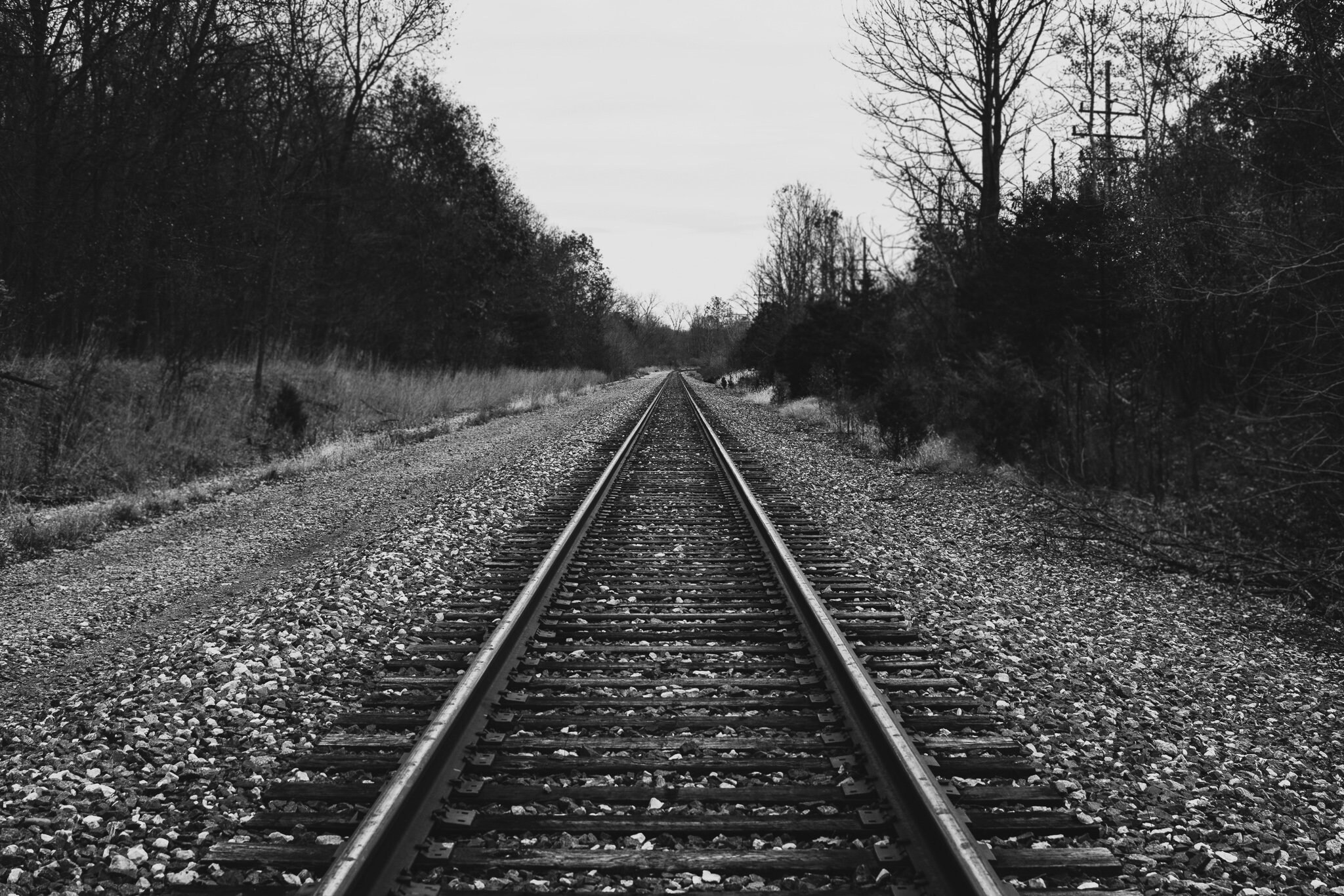 Train Tracks | Railroad | Digital Image Print | Black and White ...