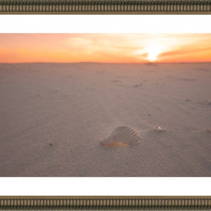 Sea Shell | Pensacola Beach | Digital Image Print | Florida | Ocean ...