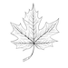 Digital Download | Pencil Drawing 8 Maple Leaves | Png File, Svg File ...