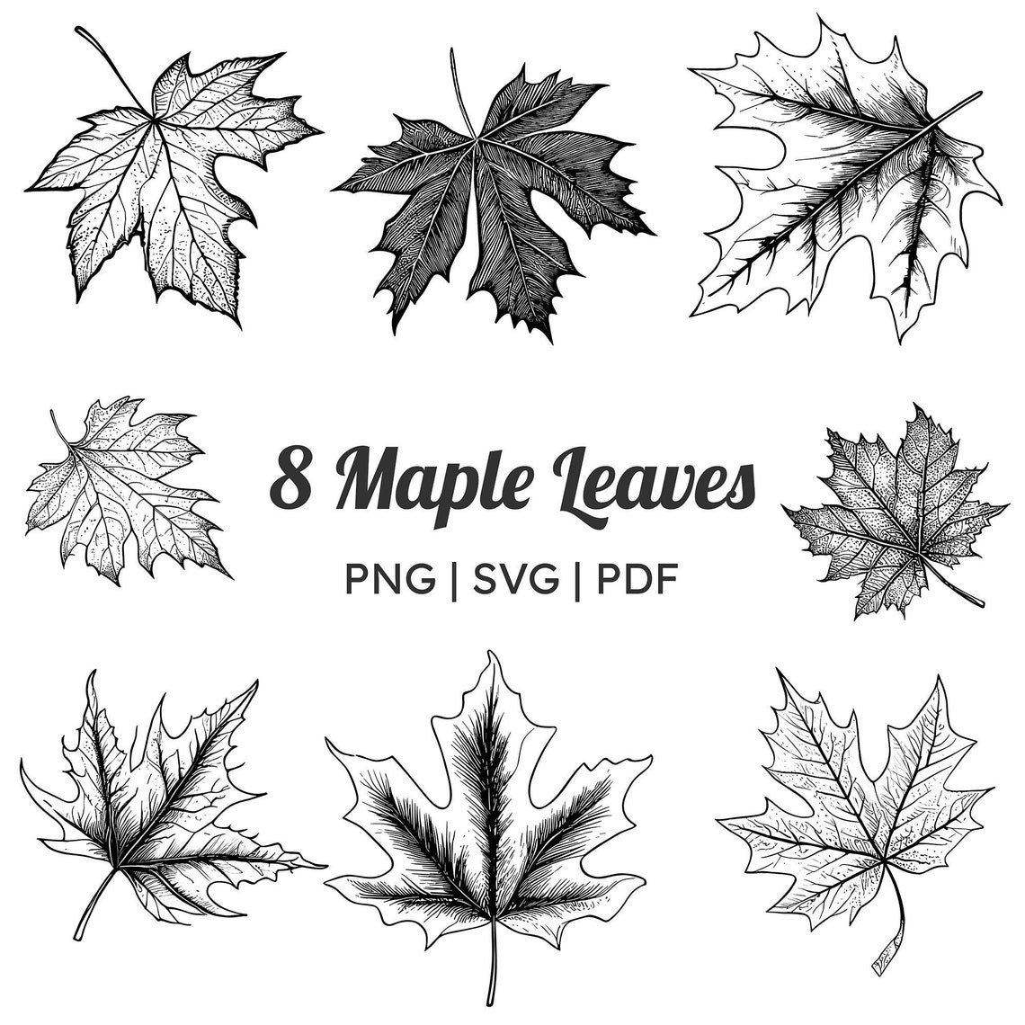 Digital Download | Pencil Drawing 8 Maple Leaves | Png File, Svg File ...