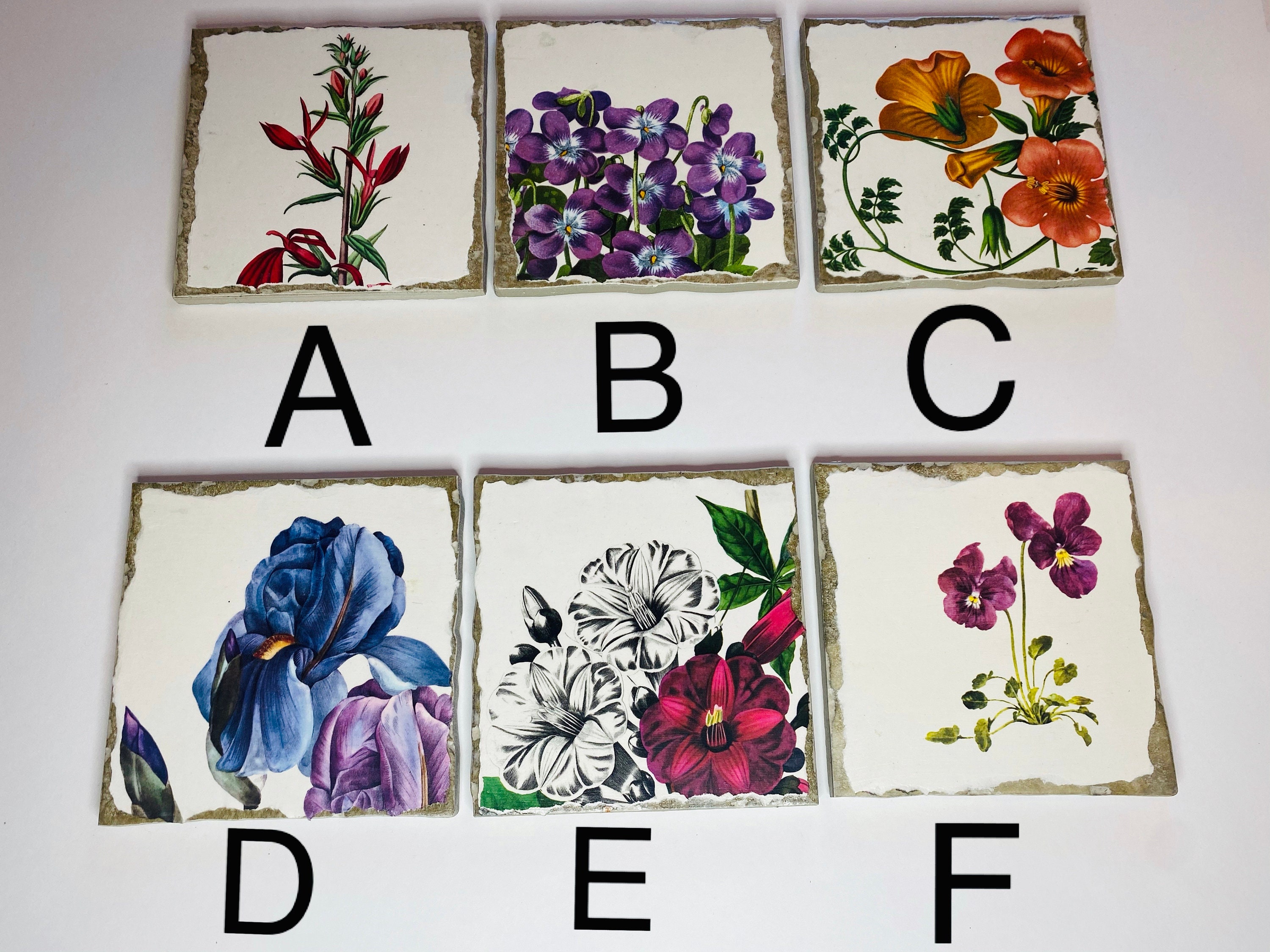 Vintage Botanical Print Tiles, Kitchen Art-6x6, Handmade Botanical ...