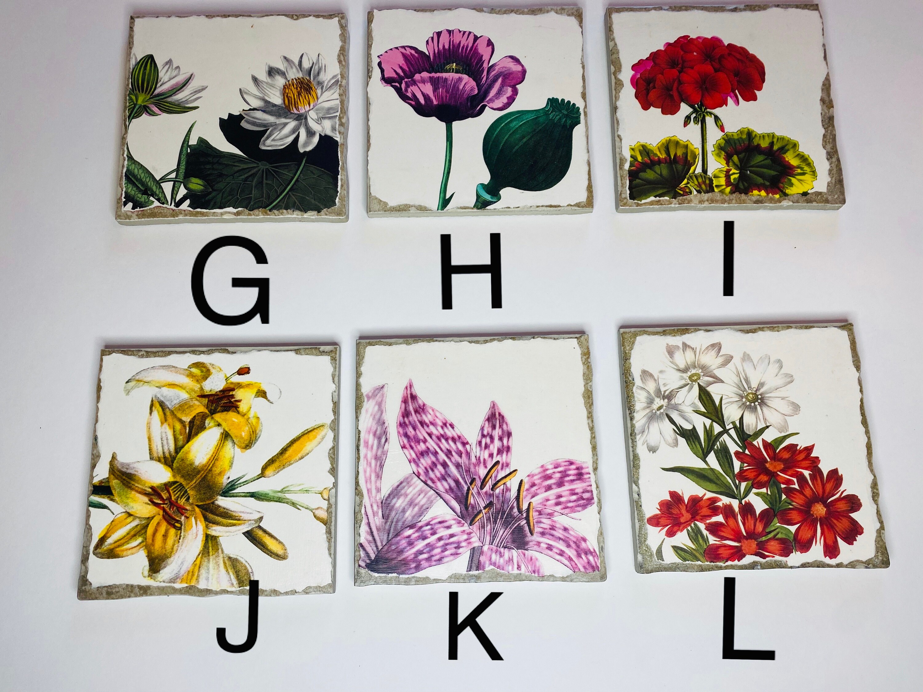 Vintage Botanical Print Tiles, Kitchen Art-6x6, Handmade Botanical ...