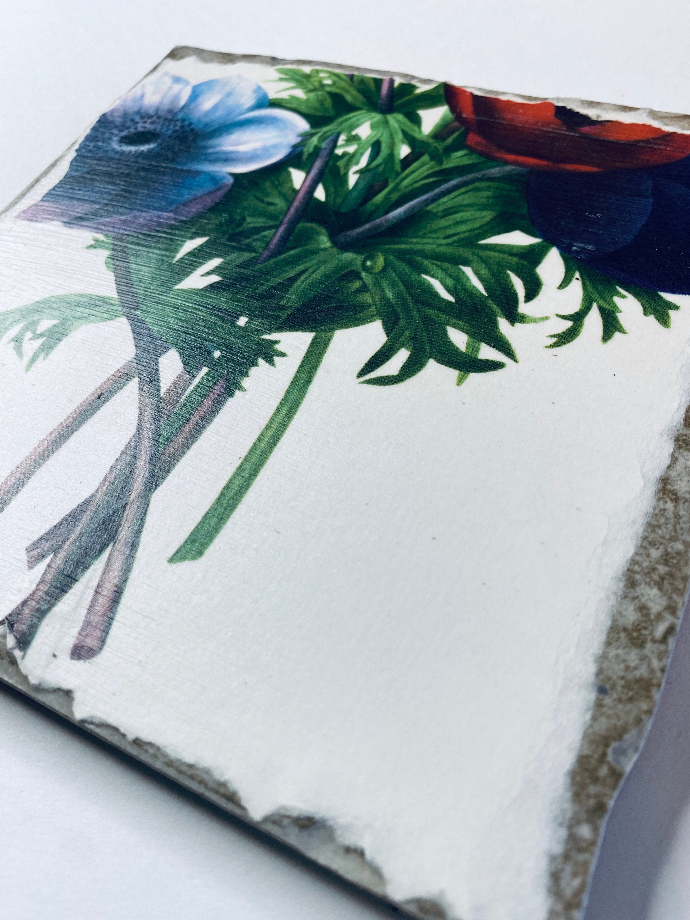 Vintage Botanical Print Tiles Kitchen Art-6x6 Handmade | Etsy