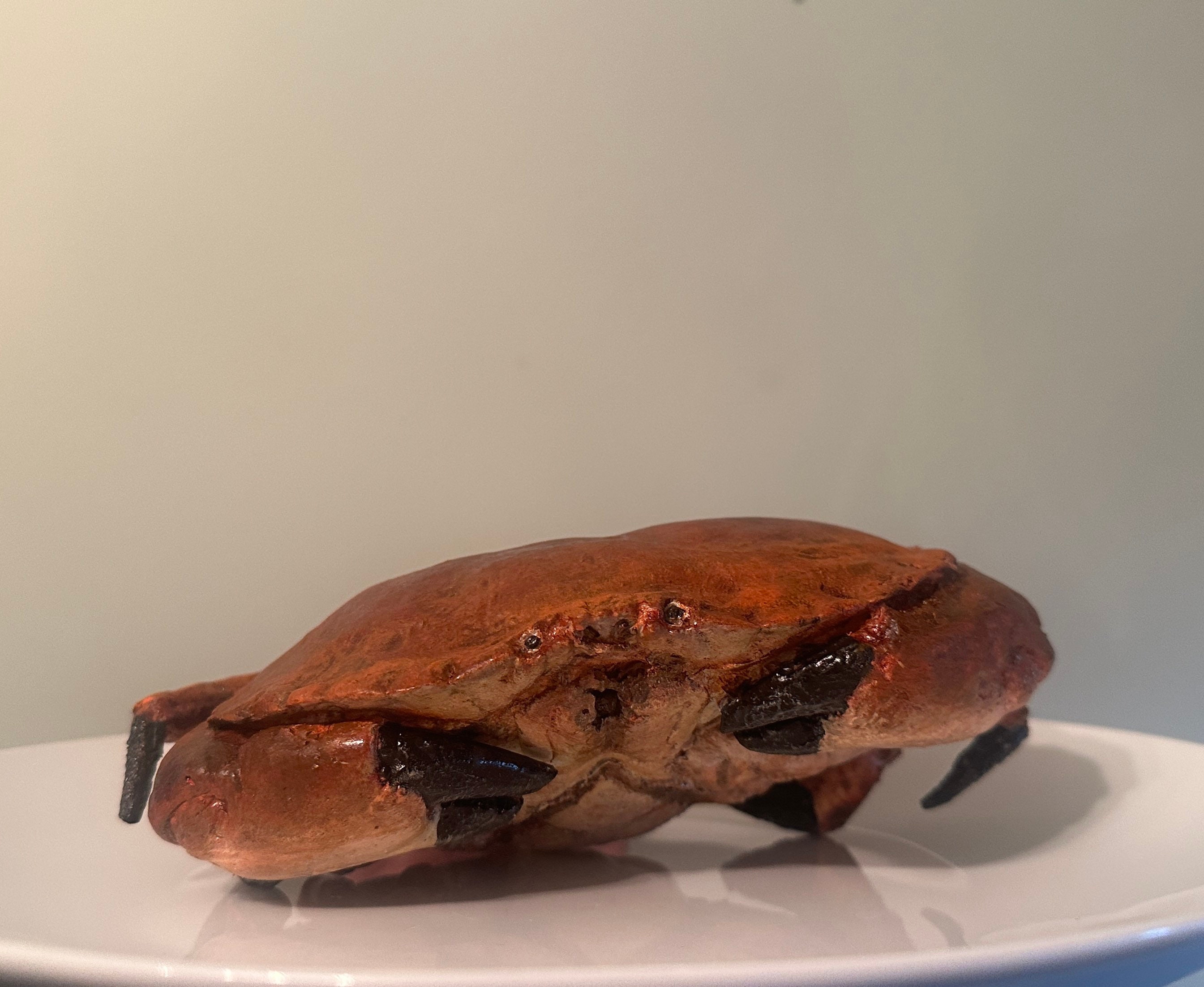 Artificial Fake Crab Prop - Etsy