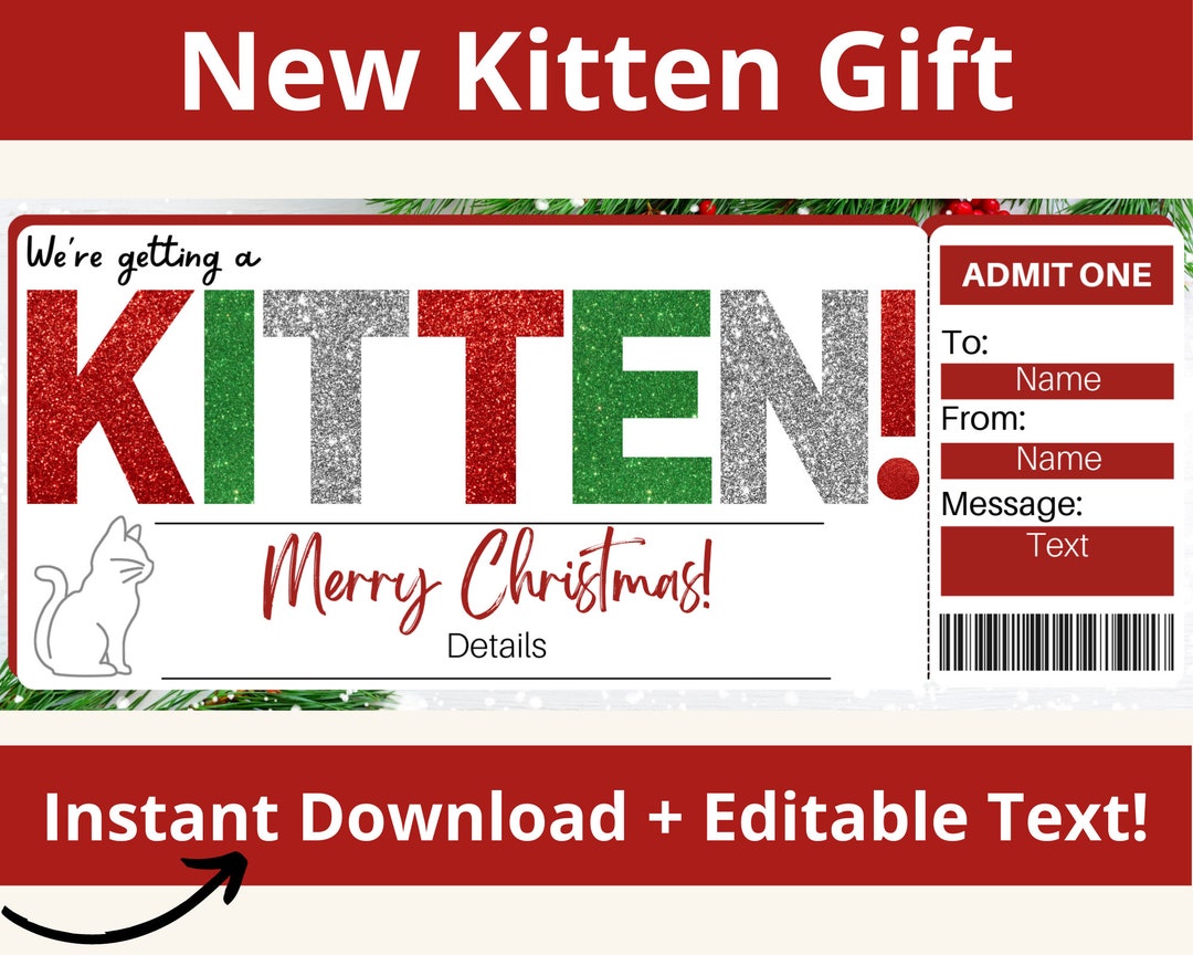 New Kitten Card. Kitten Surprise. New Kitten Gift. New Cat Gift. New ...