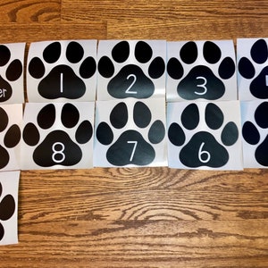 Classroom Line up Dots / Paw Prints / Classroom Decor / Floor Dot ...