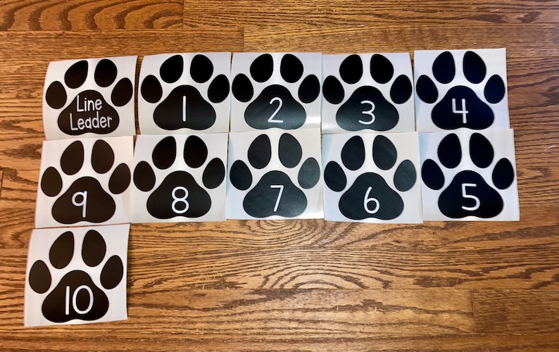 Classroom Line up Dots / Paw Prints / Classroom Decor / Floor - Etsy