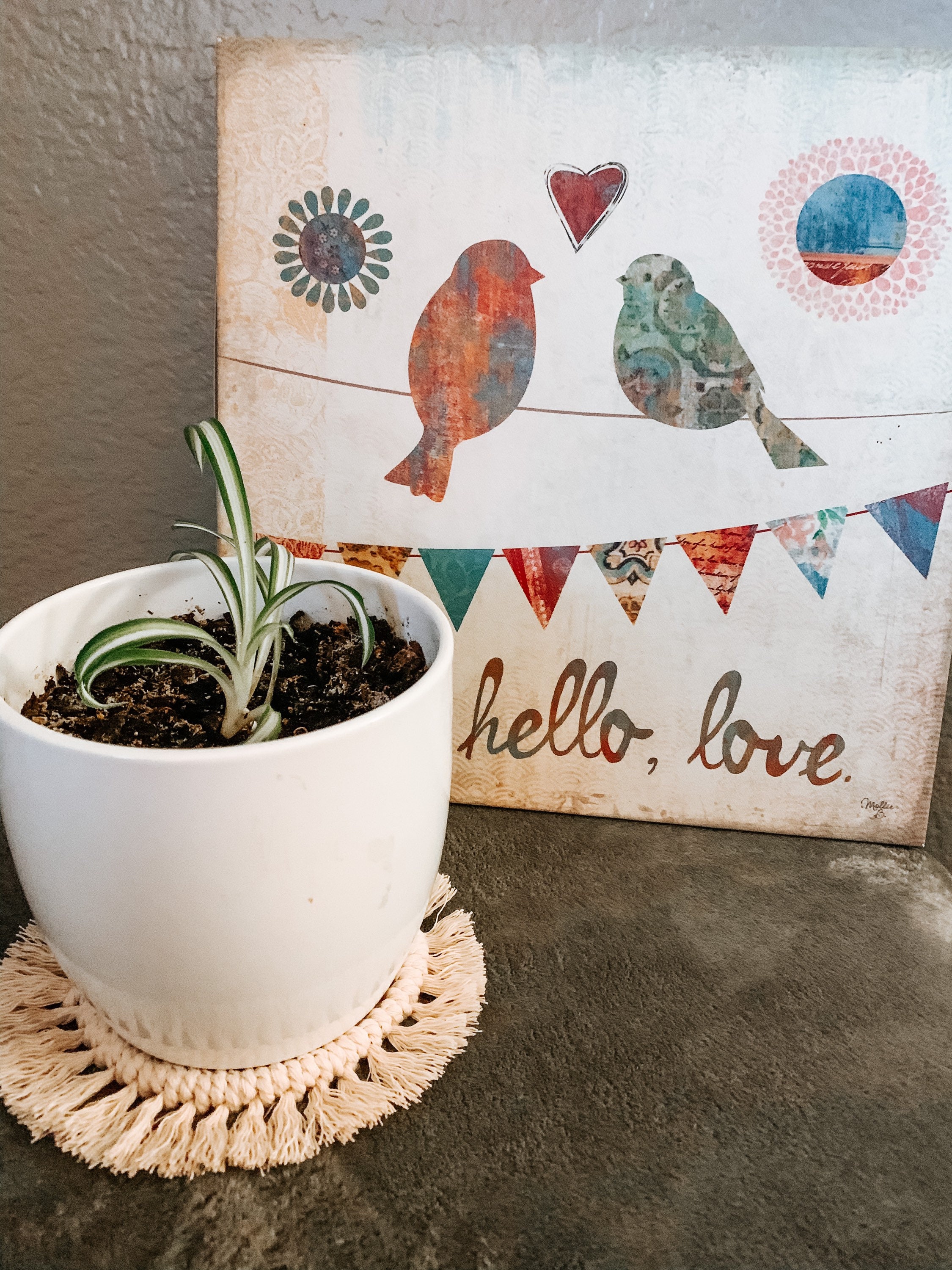 Large Macrame Diffuser Coaster Candle Coaster Plant Mat - Etsy