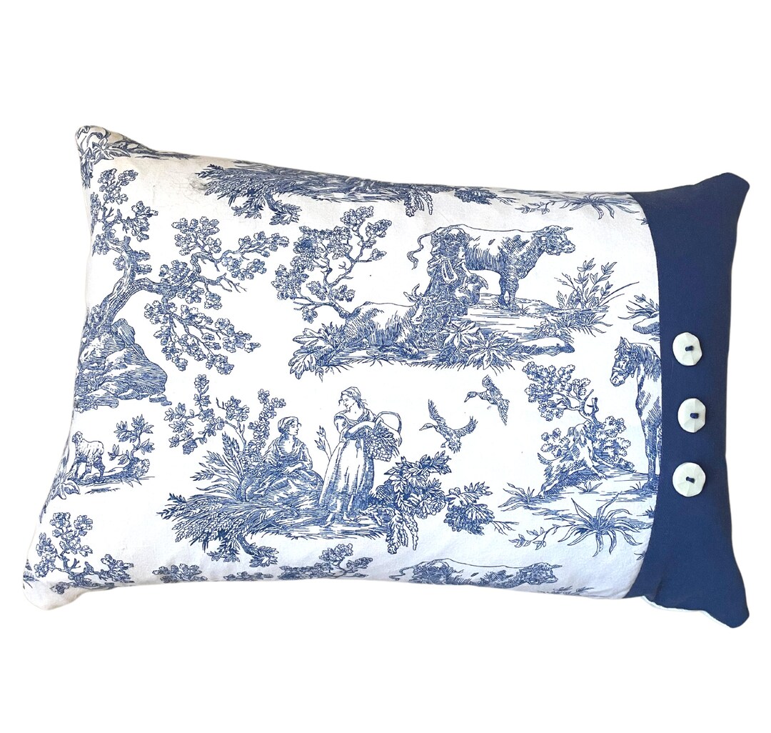Blue Toile Pillow Cover, French Country Decor, Spring Pillow, Blue ...