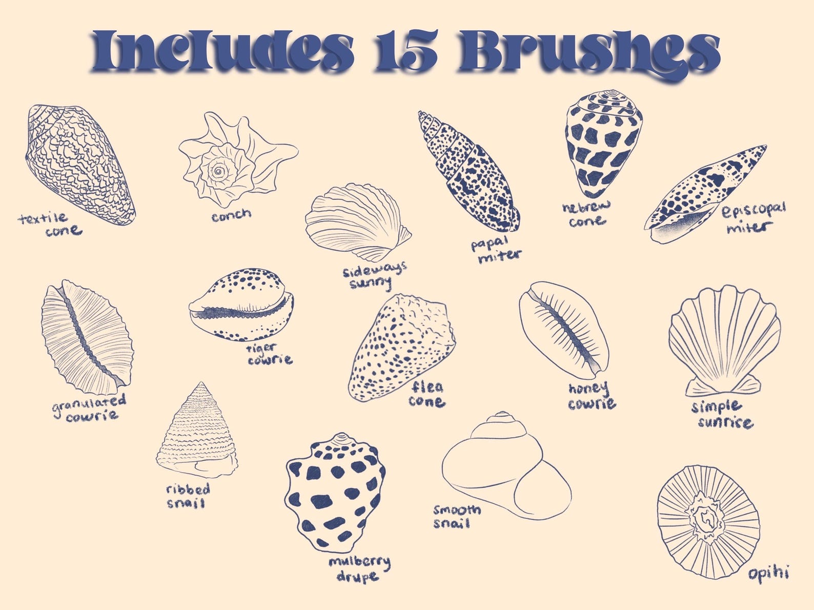 Hawaiian Shell Collection - Downloadable Stamp Brushes - Etsy