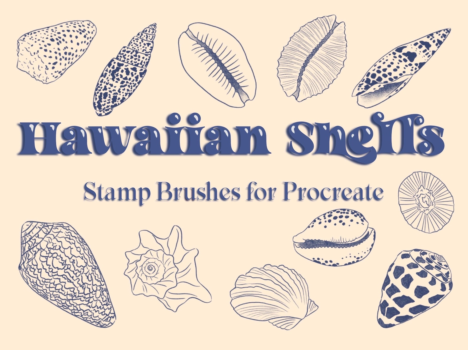 Hawaiian Shell Collection - Downloadable Stamp Brushes - Etsy