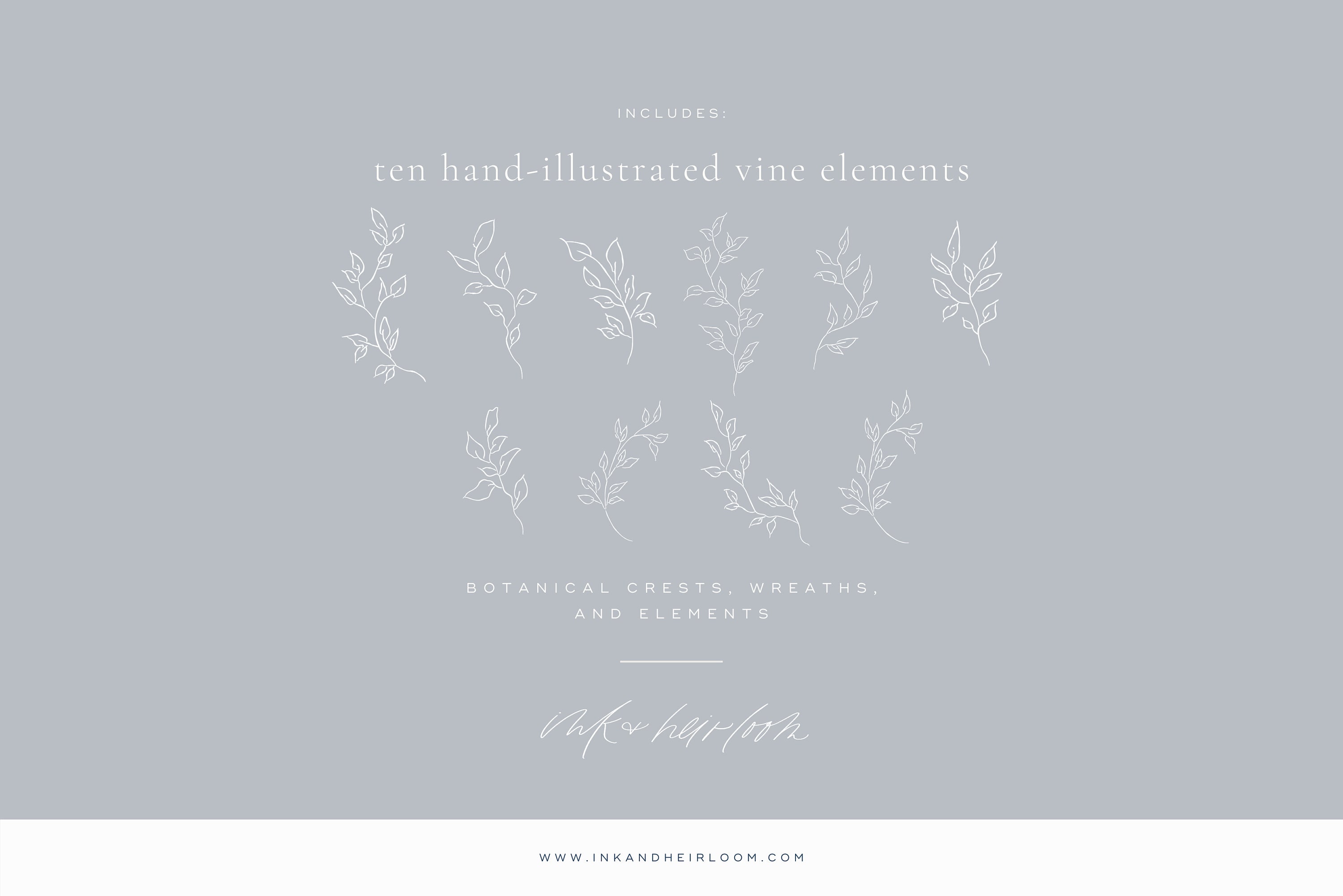 Sketched Botanical Crests Volume II Hand-illustrated Crests - Etsy