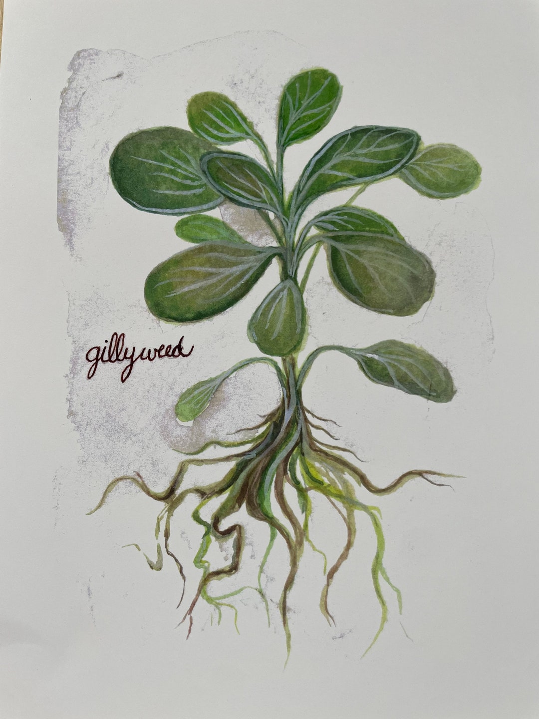 Harry Potter Gillyweed - Etsy