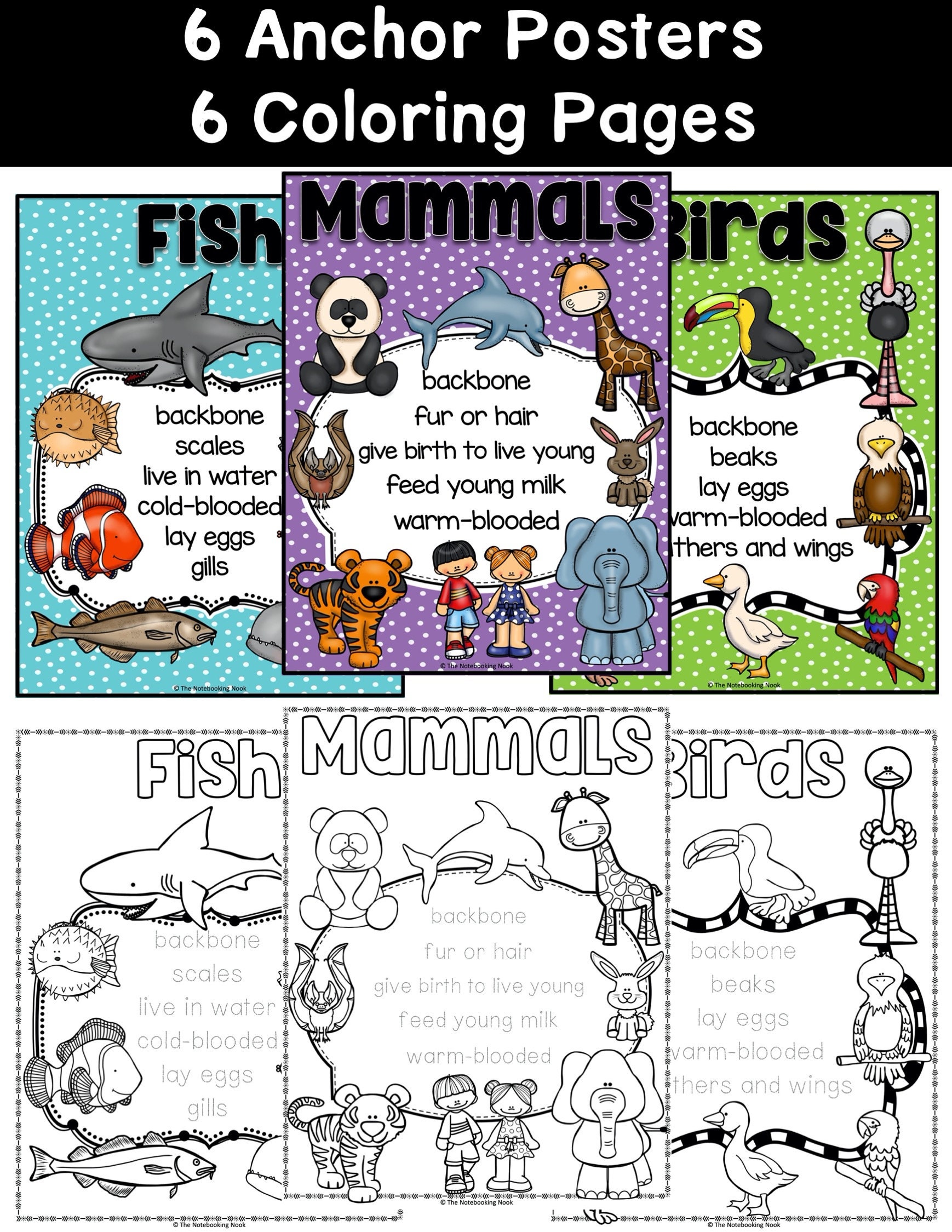 Animal Classification Posters and Coloring Pages - Etsy