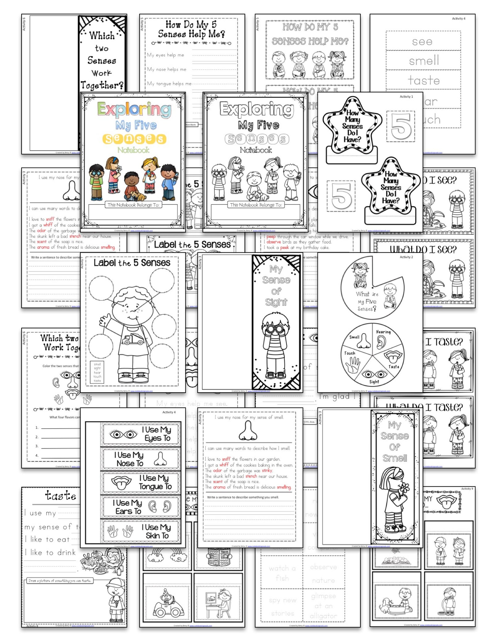 Exploring Our Five Senses With Bonus FREE Posters | Etsy