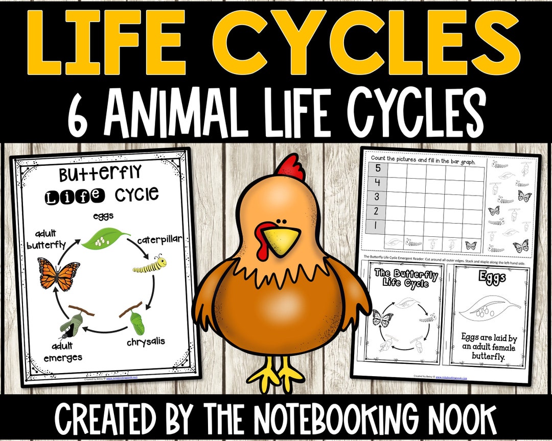 Animal Life Cycles Interactive Notebook - Etsy