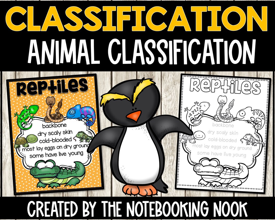 Animal Classification Posters and Coloring Pages - Etsy