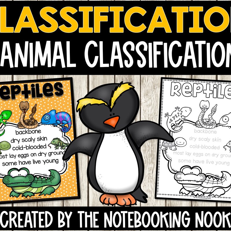 Classification Poster - Etsy UK
