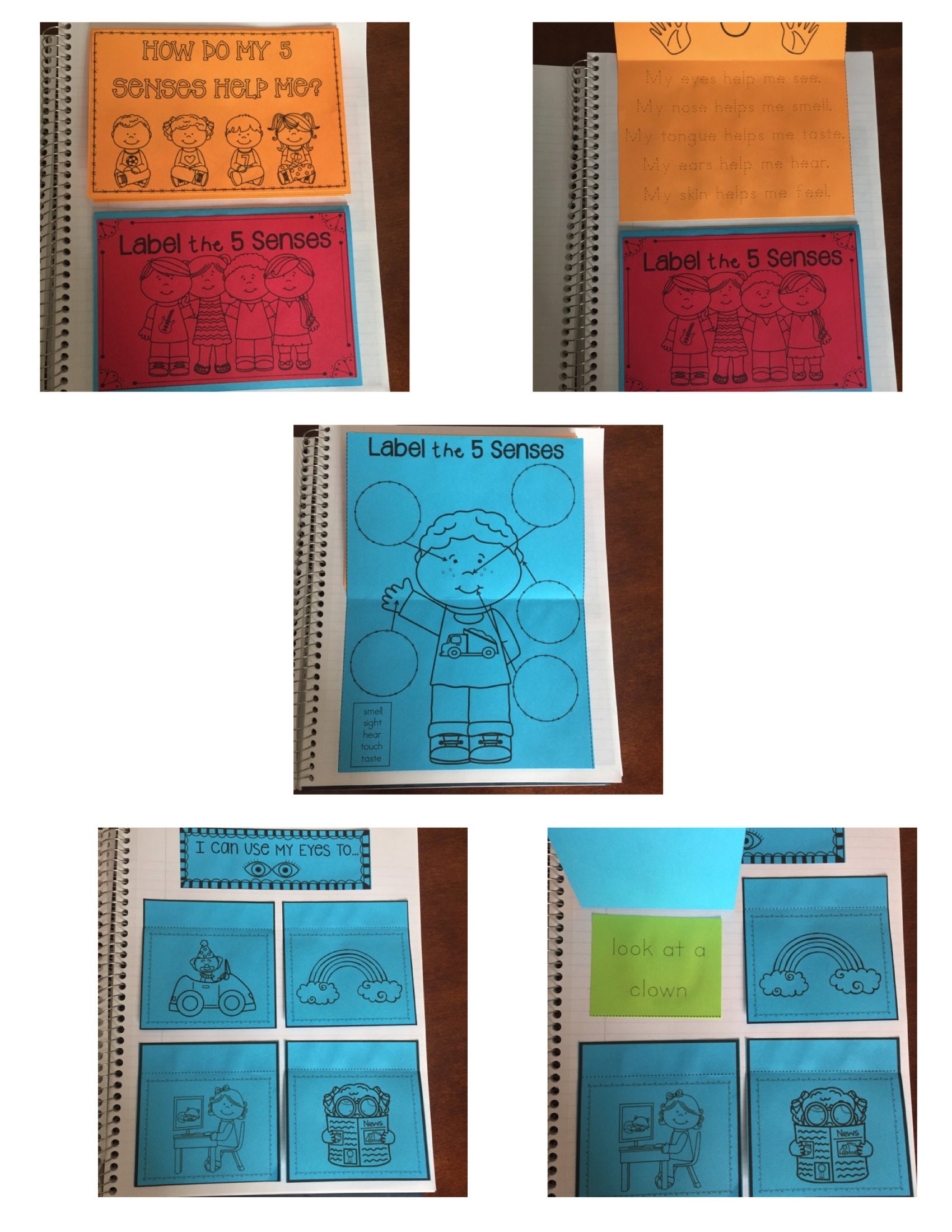 Exploring Our Five Senses With Bonus FREE Posters - Etsy