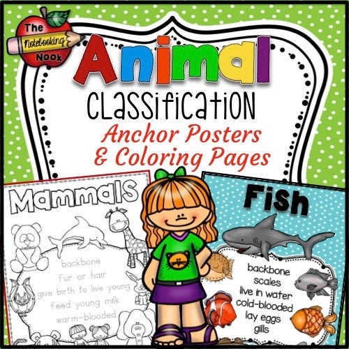 Animal Classification Posters and Coloring Pages - Etsy