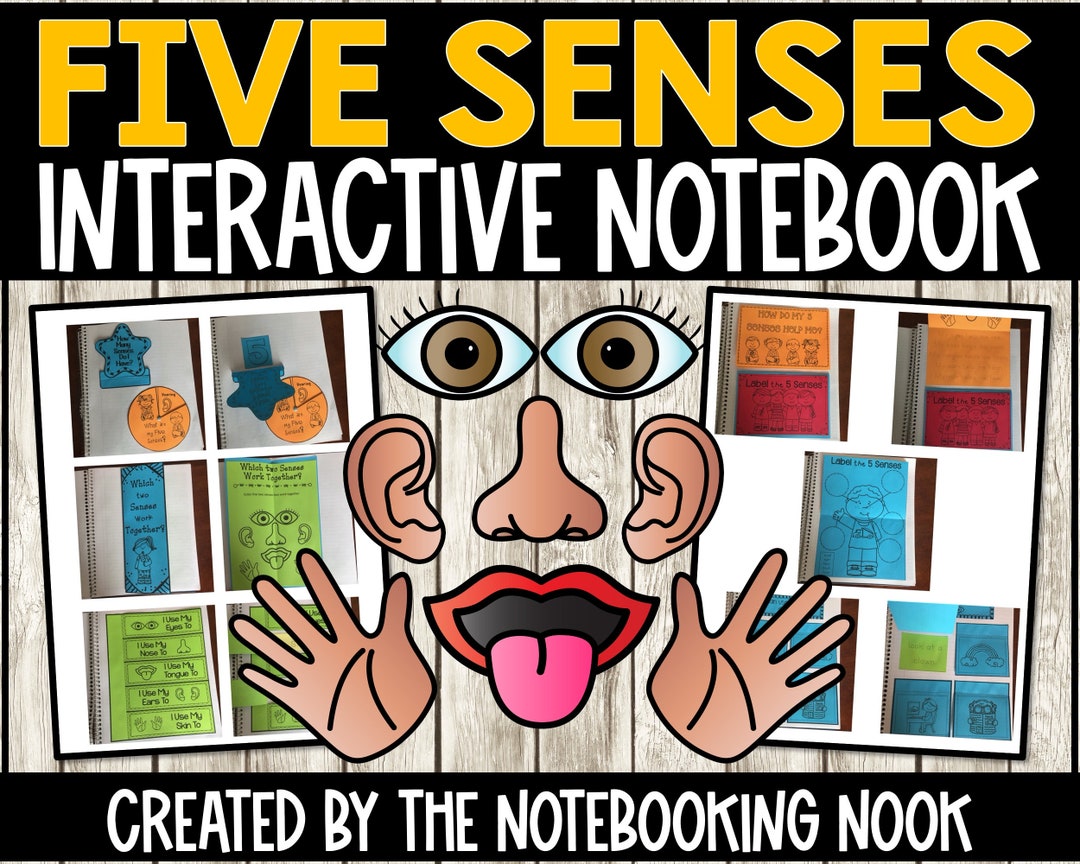 Exploring Our Five Senses With Bonus FREE Posters - Etsy