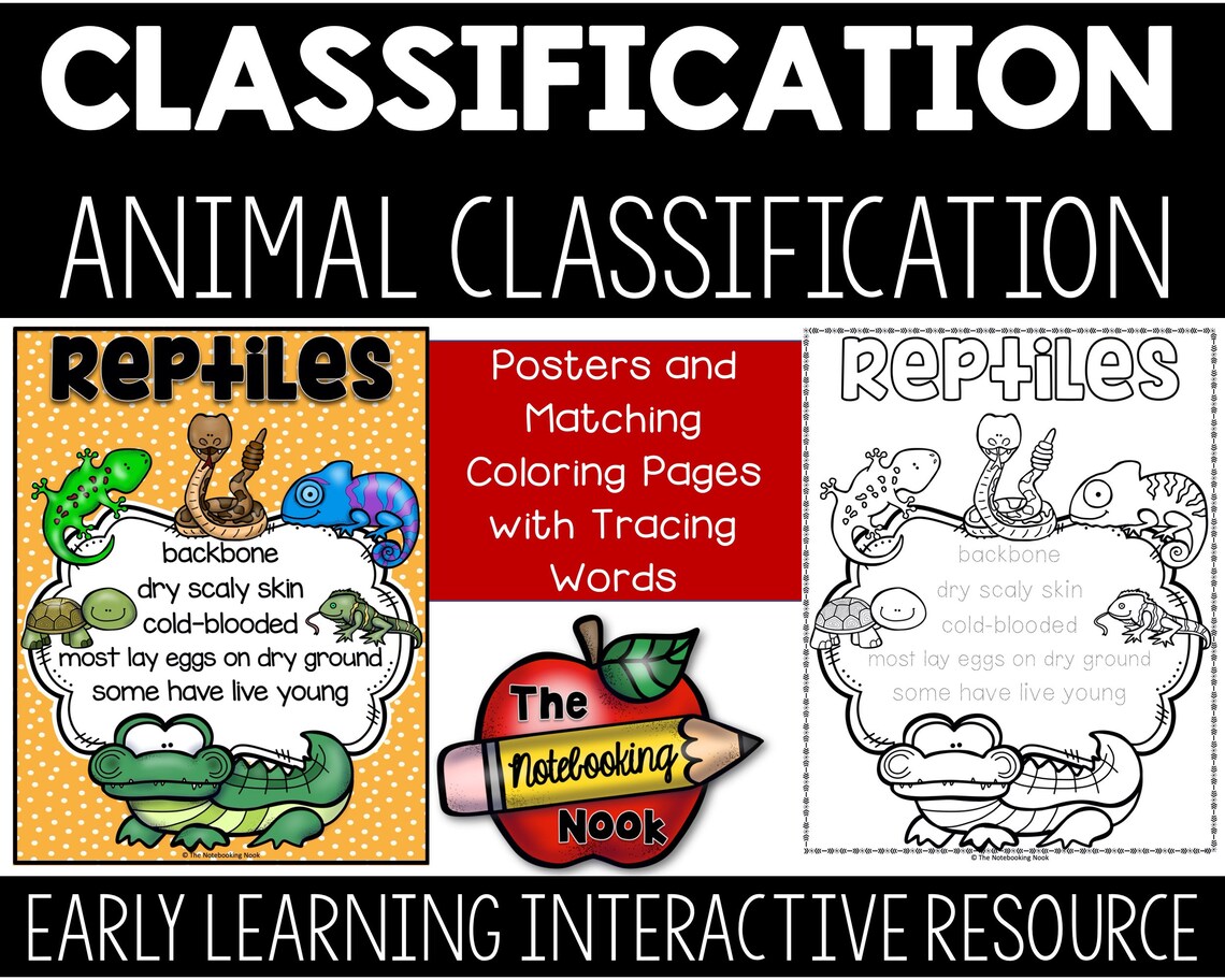 Animal Classification Posters and Coloring Pages | Etsy