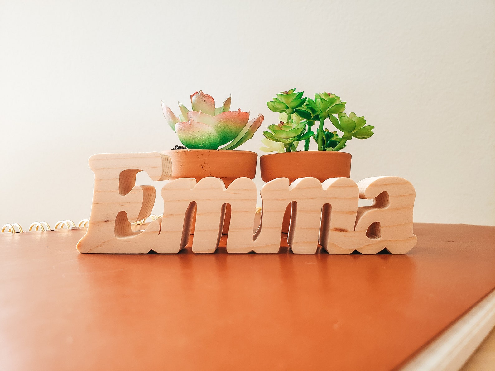 Single Word Stand Alone Name Phrase Pet Name Desk Decor - Etsy