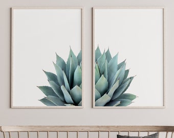 Succulent Wall Art - Etsy