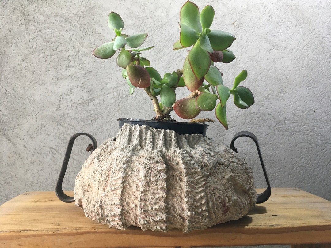 Concrete Rustic Sample Bowl With Iron Handles, Cement Bowl, Primitive ...