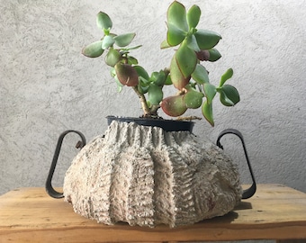Large Concrete Rustic Plant Pot Saucer/ Cement Planter Tray/ Cement ...