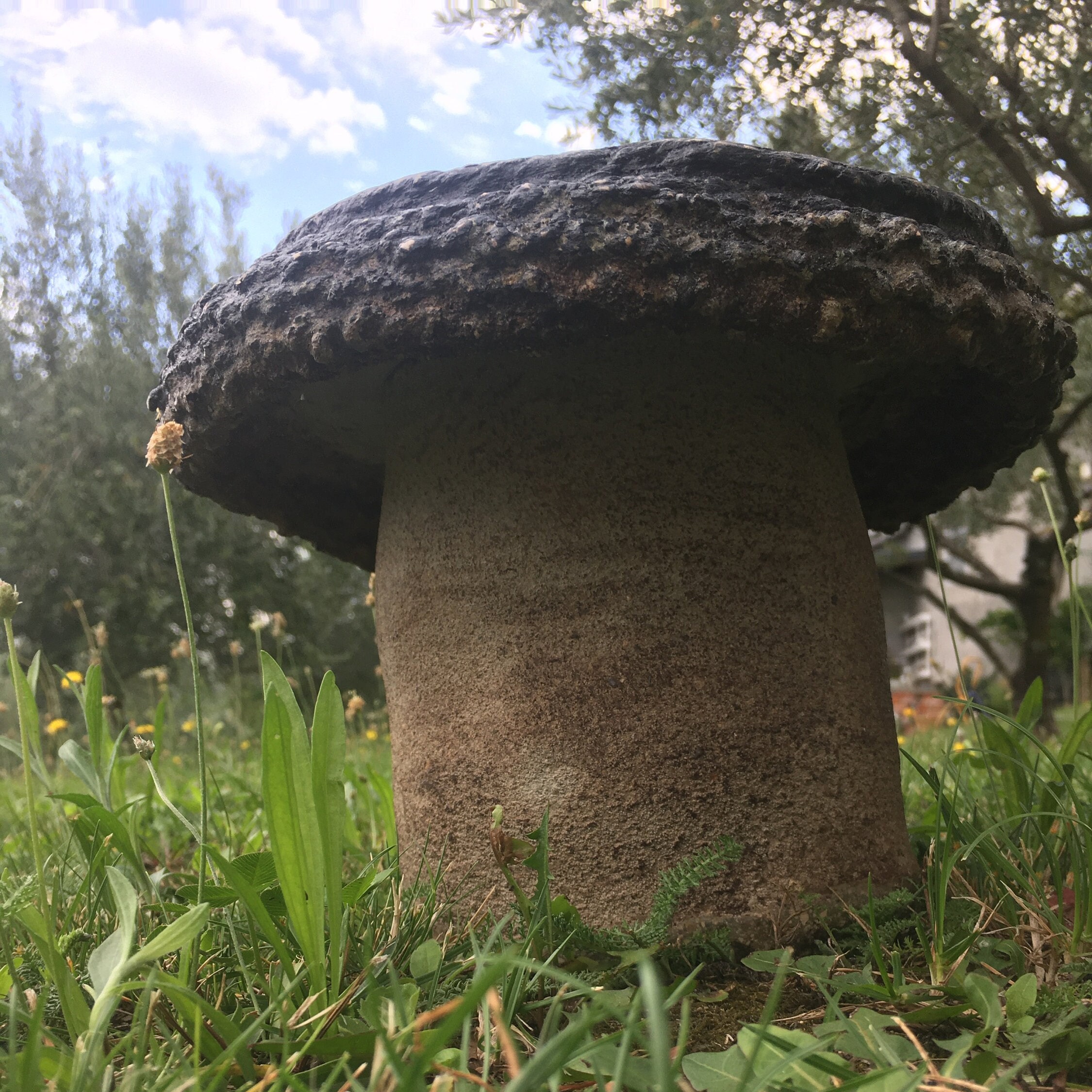 Concrete Mushroom Key Hider/ Cement Decor Box/ Hiding Spot/ - Etsy