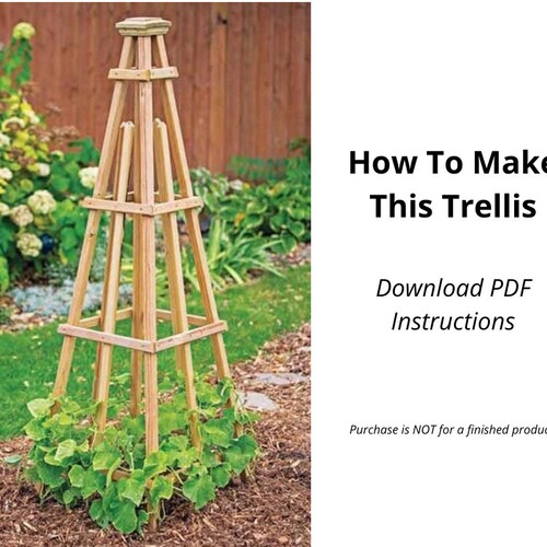 Obelisk Garden Plans DIY PDF - Etsy