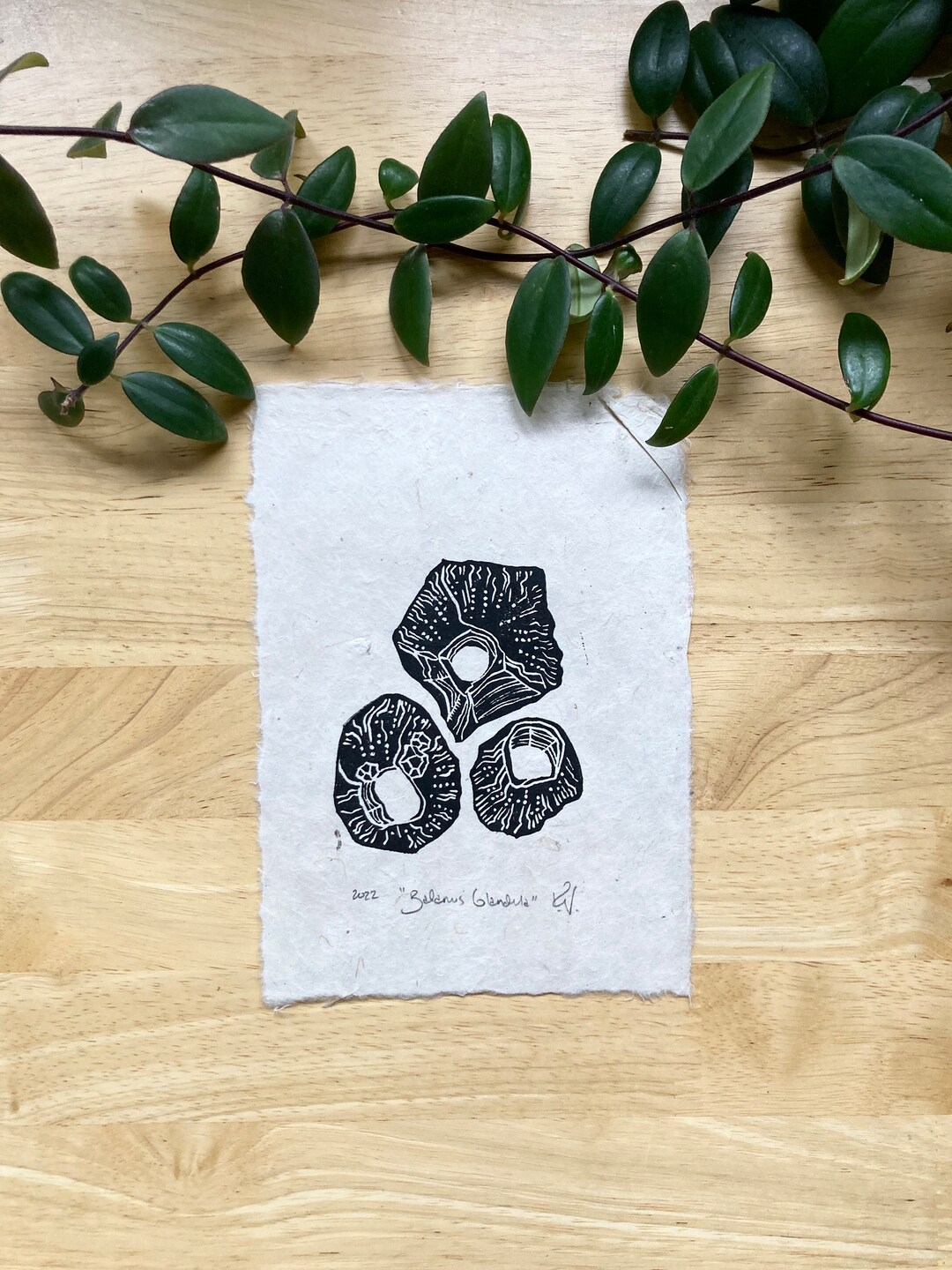 Barnacle Mini Print | Original Block Print | Tidepool Linocut | 5x7 ...