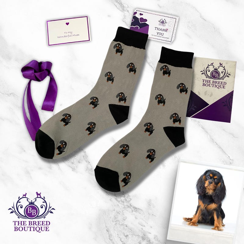 Black and Tan Cavalier King - Etsy UK