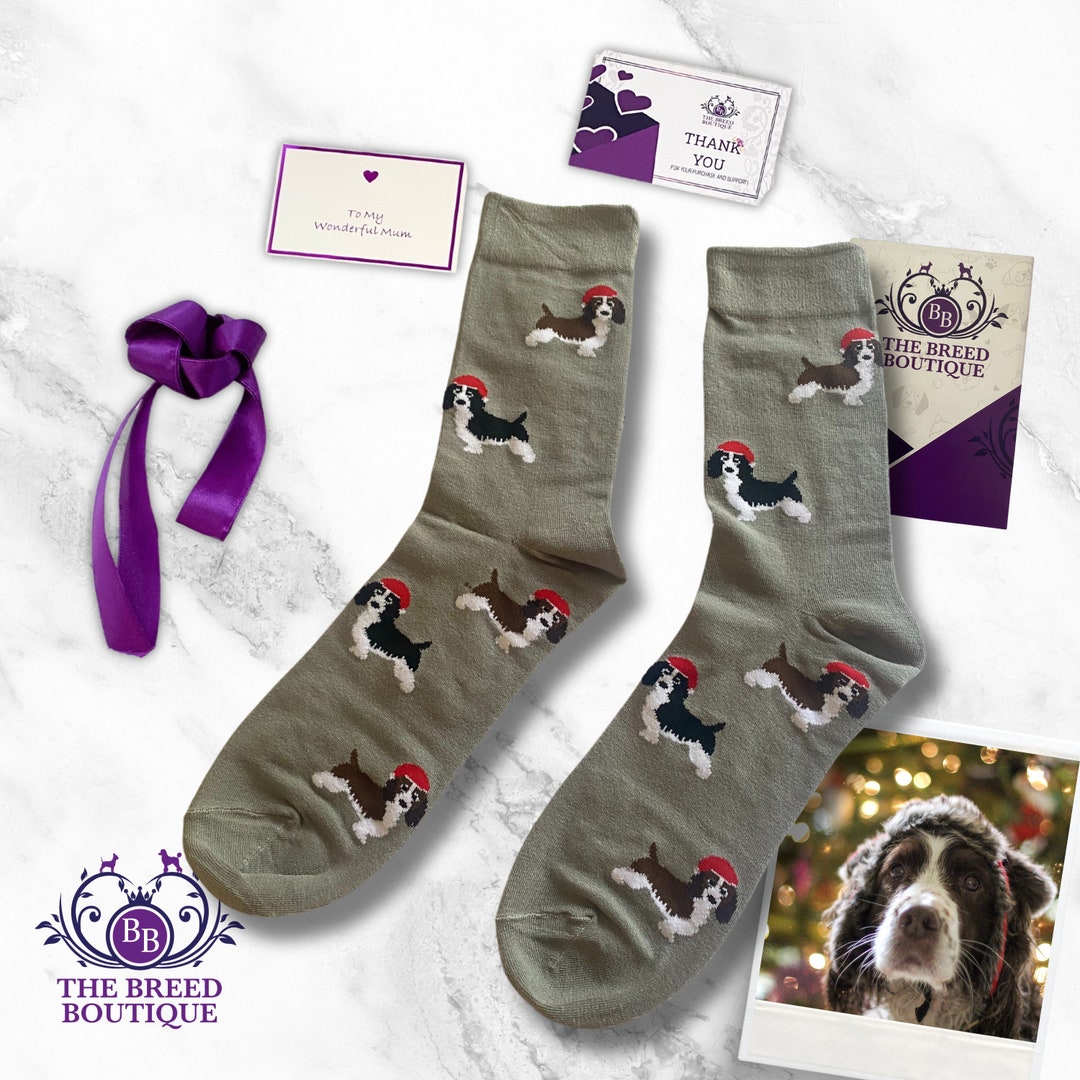 Springer Spaniels Christmas Socks Fun Unisex One Size Fit UK 5 11, EU ...