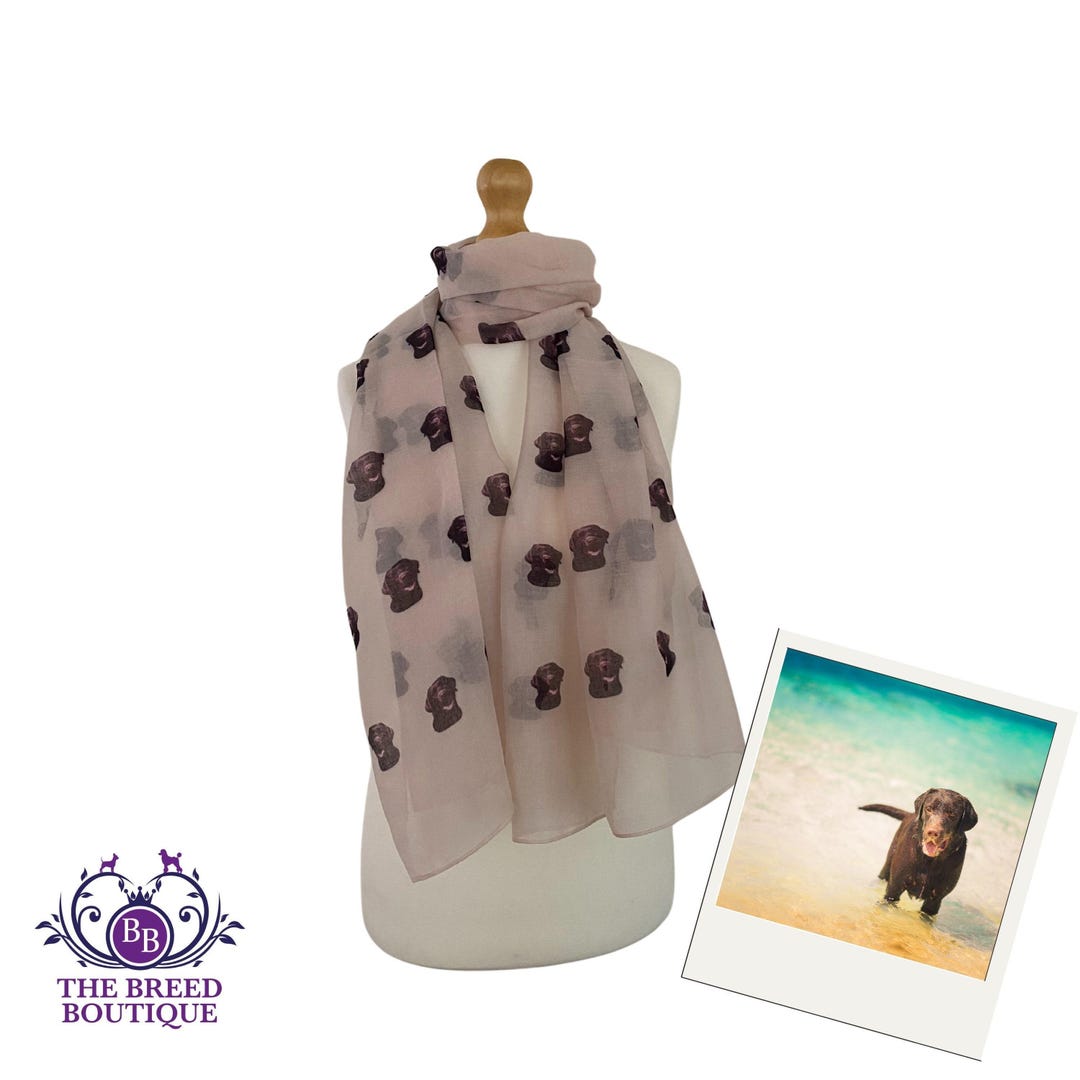 Chocolate Labrador Scarf Ladies Brown Labrador Dog Print Shawl Wrap in ...