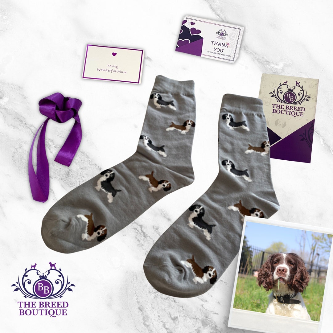 Springer Spaniels Socks Fun Unisex One Size Fit UK 5 11, EU 38 46 and ...