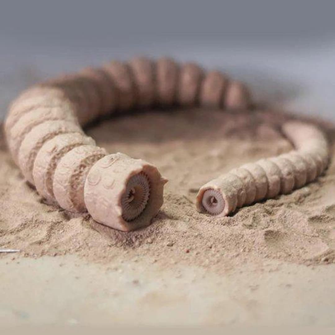 Dune Sandworm Flexible Toy - Etsy