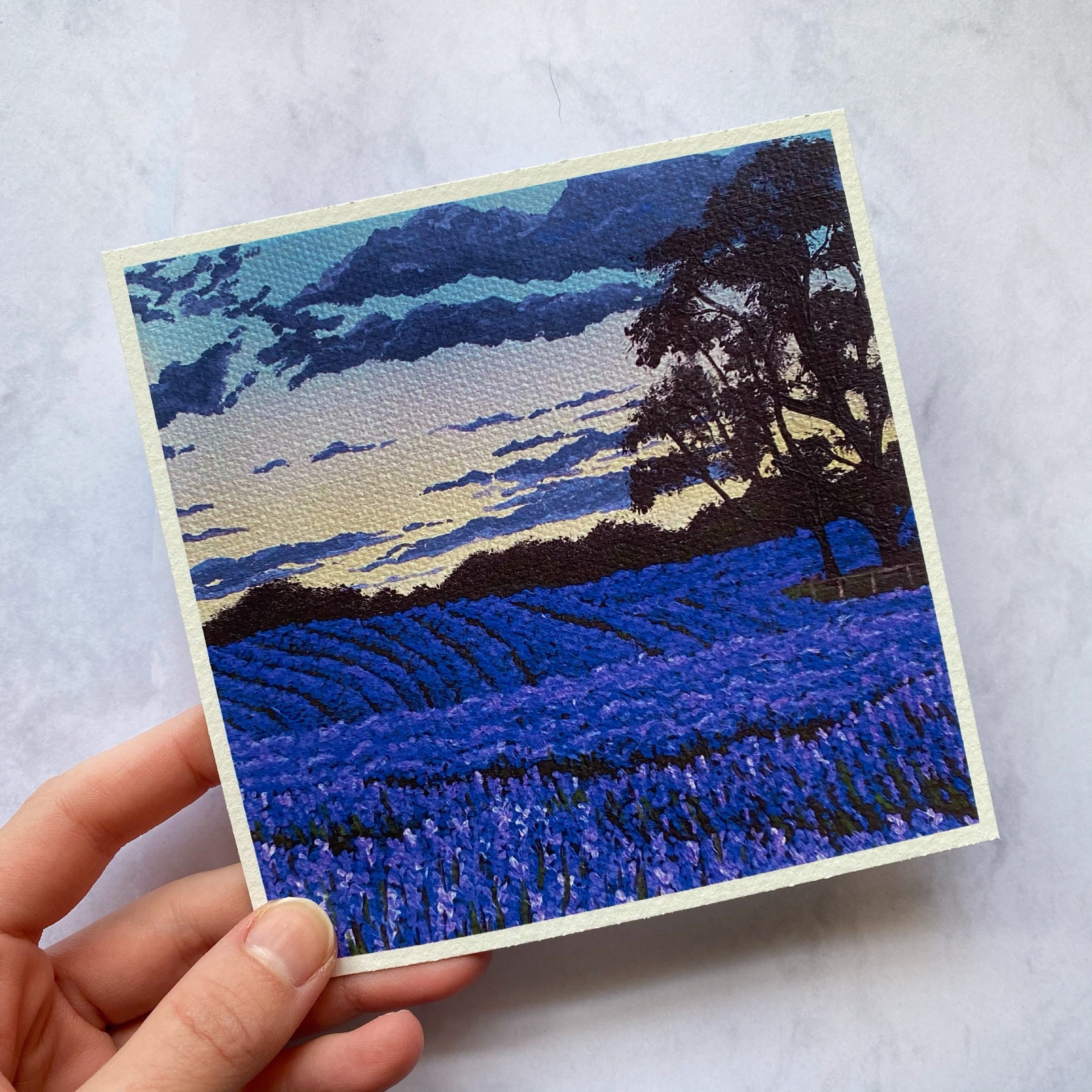 Lavender Field Art Print 5x5 4x4 Birthday - Etsy UK