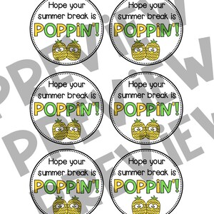 Poppin Summer Gift Tags Poppin End of School Year Popsicle Student Gift ...