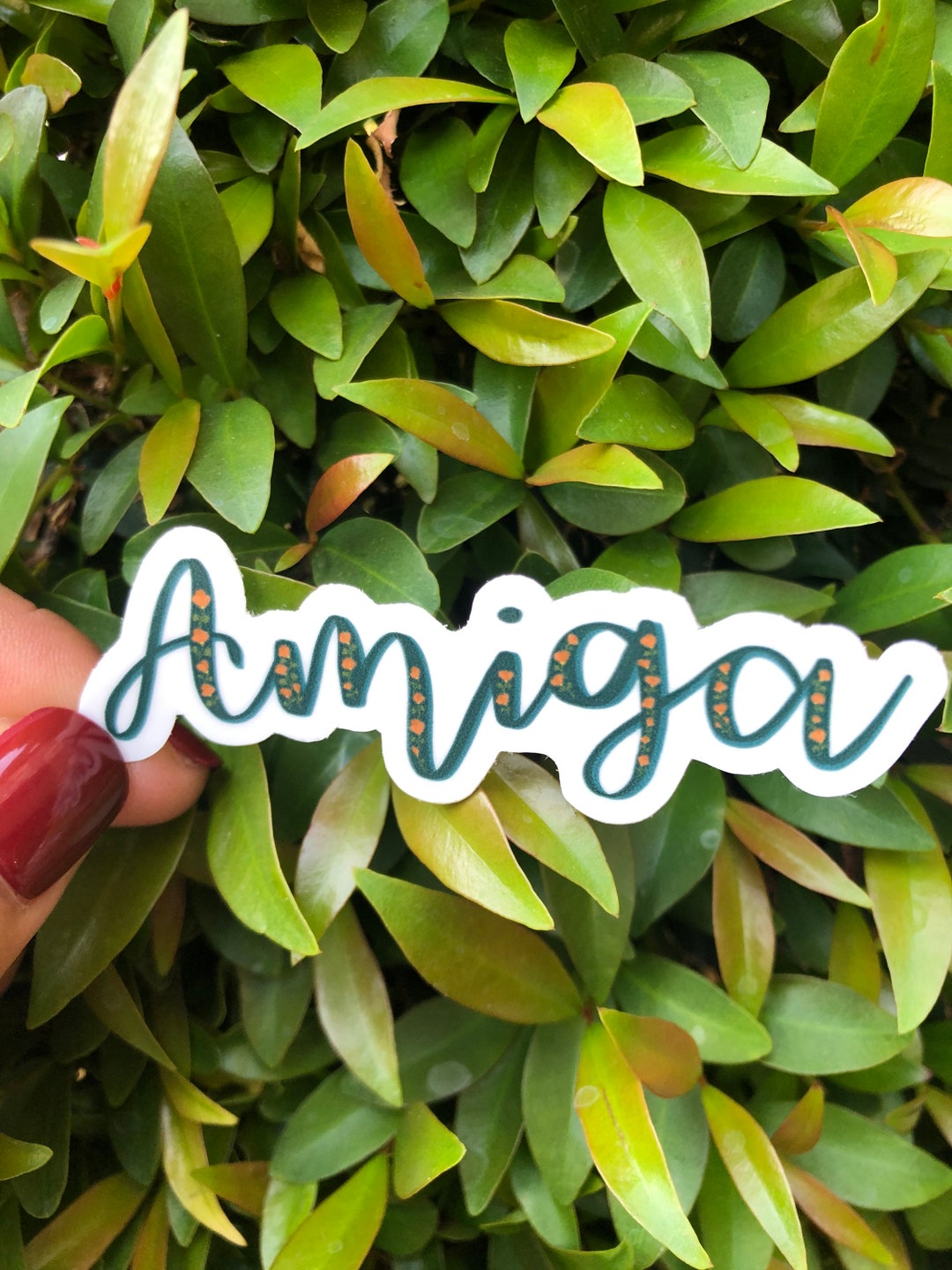 Amiga Sticker | Friend Sticker | Gift for a Friend - Etsy