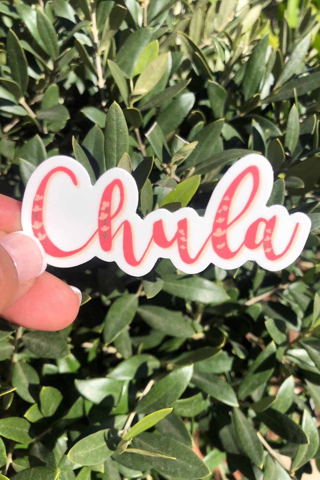 Chula Sticker | Gift for a Friend | Beautiful Sticker - Etsy
