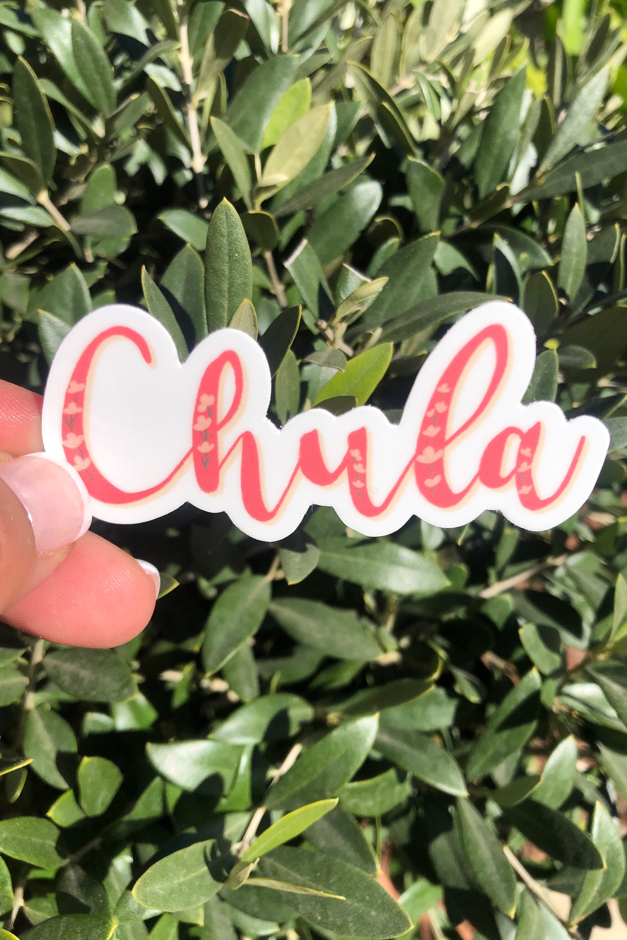 Chula Sticker Gift for a Friend Beautiful Sticker - Etsy
