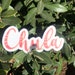 Chula Sticker Gift for a Friend Beautiful Sticker - Etsy
