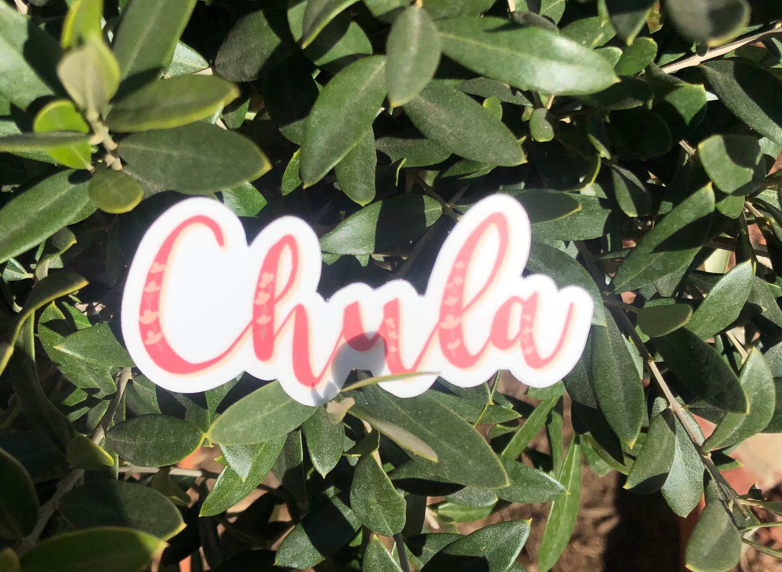 Chula Sticker Gift for a Friend Beautiful Sticker - Etsy