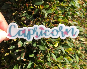 Zodiac Capricorn Sticker Decal - Etsy