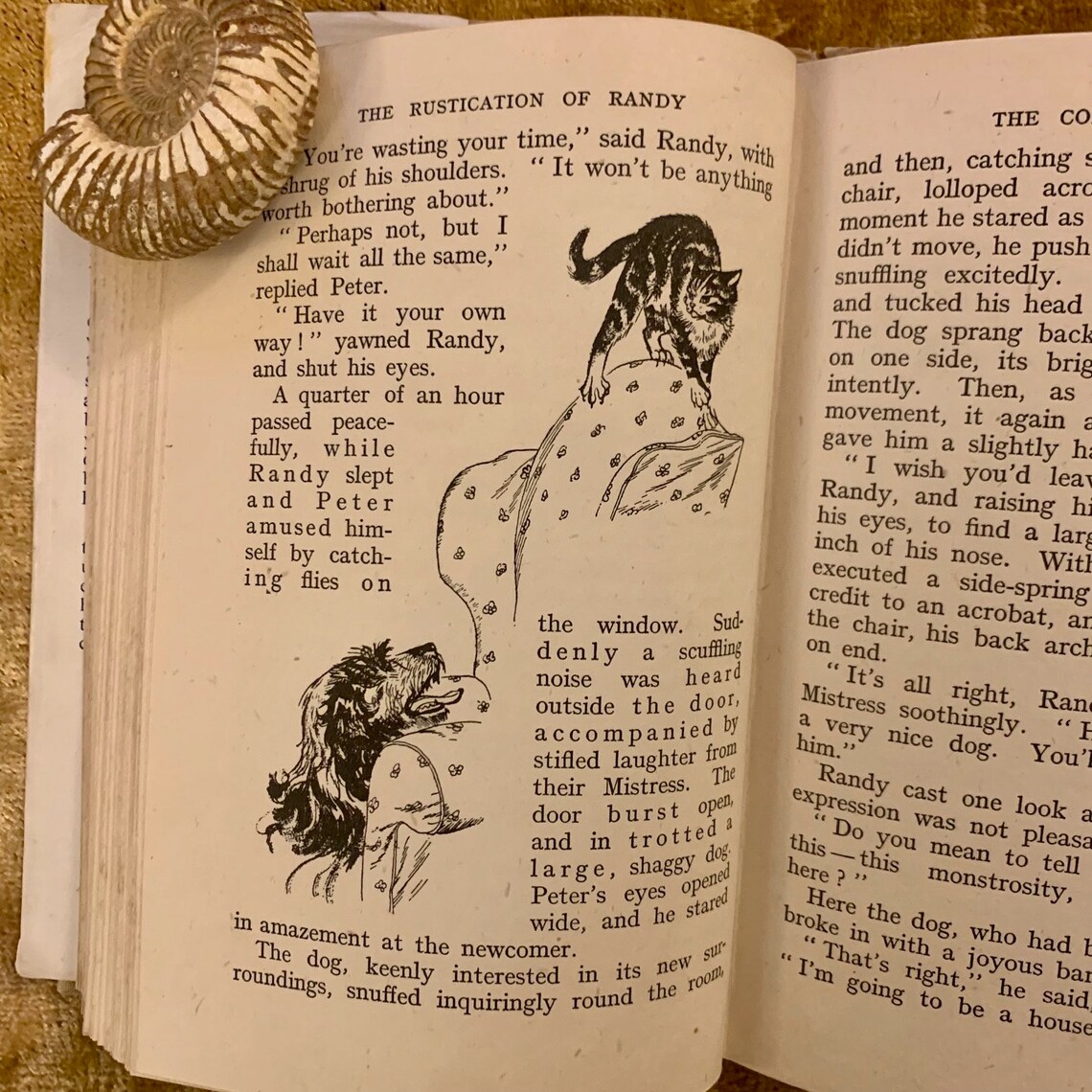 First Edition 1945 Vintage Hardback With Dust Jacket the - Etsy