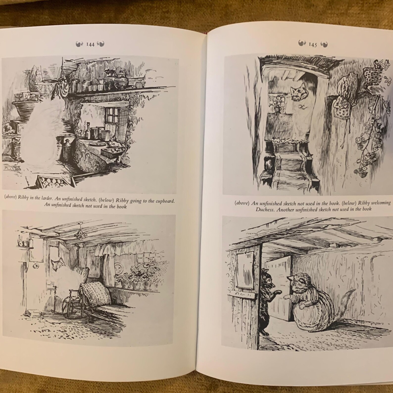 Illustrated Biography of Beatrix Potter, Hardback With Dust Jacket - Etsy