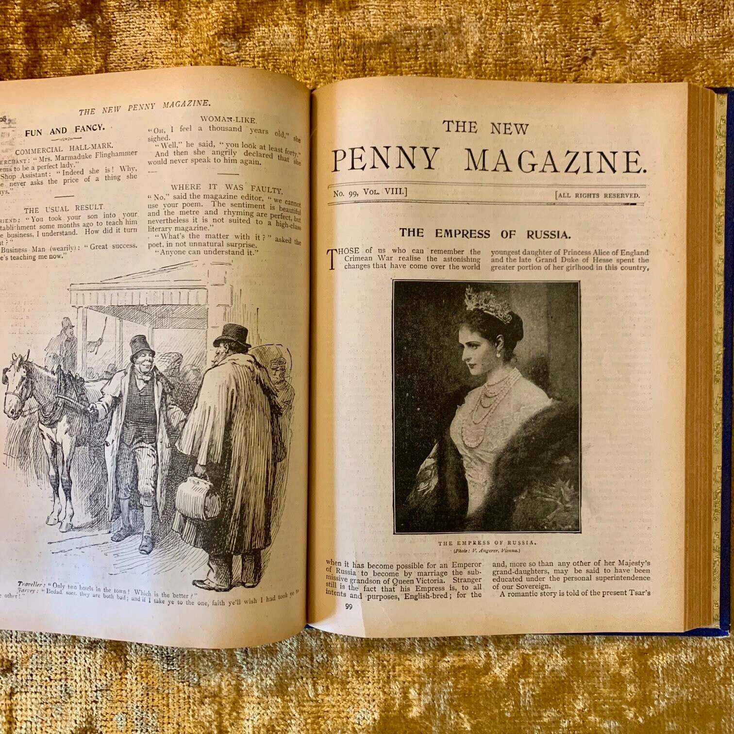 Bound Victorian Weekly Periodcal 'the New Penny Magazine', Three Months ...